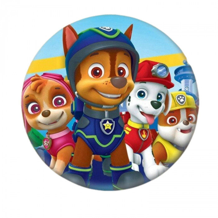 Badge Pat Patrouille : Chase Stella Ruben et Marcus • La Boutique Pat ...