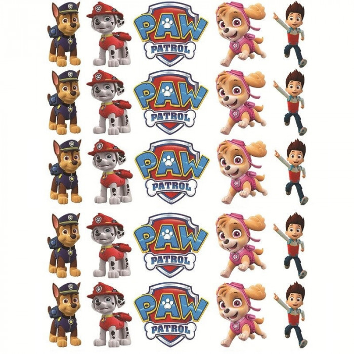 Décoration gâteau Pat Patrouille : Stella, Marcus, Chase et Ryder • La ...