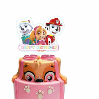 Décoration gâteau Pat Patrouille : Stella, Marcus, Everest • La ...