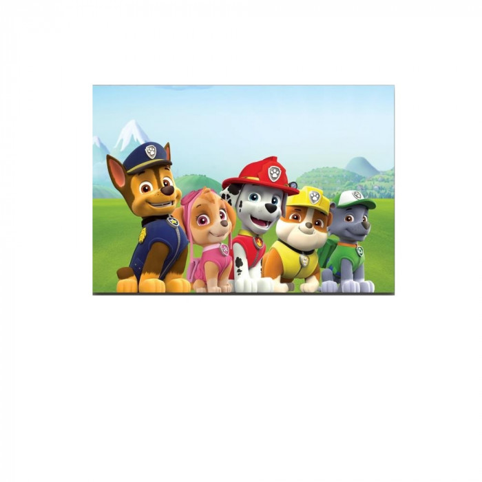 Poster Pat Patrouille : Chase Marcus Stella Rocky et Ruben • La Boutique Pat Patrouille