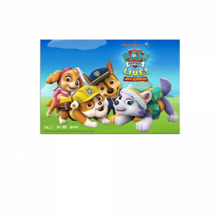 Poster Pat Patrouille : Chase Ruben Stella et Everest • La Boutique Pat ...