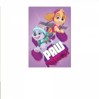 Poster Pat Patrouille : Stella et Everest • La Boutique Pat Patrouille