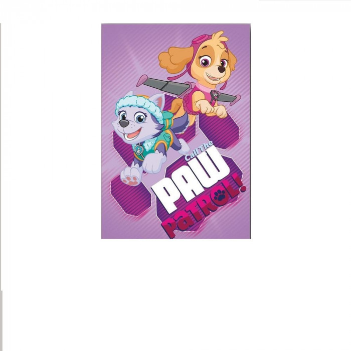 Poster Pat Patrouille : Stella et Everest • La Boutique Pat Patrouille