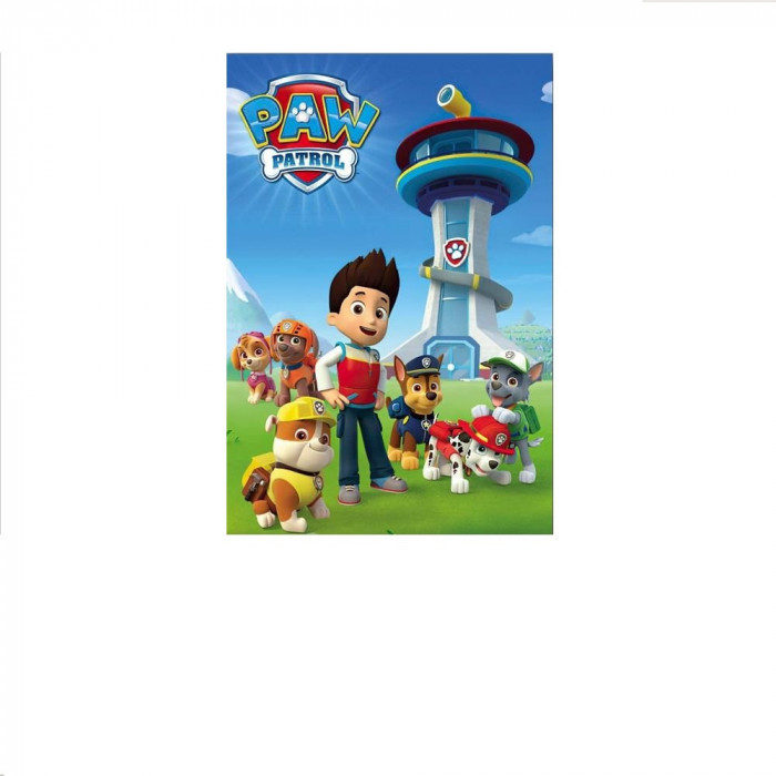 Poster Pat Patrouille : tour de contrôle • La Boutique Pat Patrouille